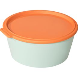 Koziol Nora Box Schale mit Deckel 2,2 Liter sweet green/ strong coral - Sch&uuml;sseln & Schalen