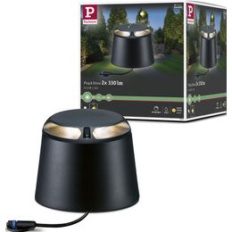 LED Sockelleuchte Paulmann "Plug & Shine", grau (anthrazit), H:15,5cm &Oslash;:19,3cm, Leuchten, LED Sockelleuchte, LED-Modul, IP67