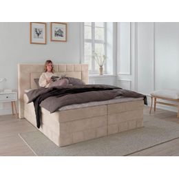 Boxbett OTTO HOME "PHILLIPA inkl. Bettkasten, wahlweise mit LED-Leuchten, Breite: 180cm", beige, B:195cm L:210cm, Holz teilmassiv, Holzwerkstoff, Spanplatte, Komplettbetten, Boxbett, inkl. Kaltschaum-Topper, in verschiedenen Farben erh&auml;ltlich