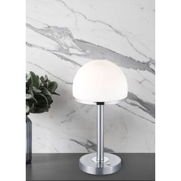 Trio LEUCHTEN LED Tischleuchte "Berlin", grau (nickelfarben), 1, &Oslash; 19,5cm H: 39cm, 1 Stk., Leuchten, Tischlampe mit 4 fach TOUCH-Dimmer in modernem Design, LED Tischleuchte