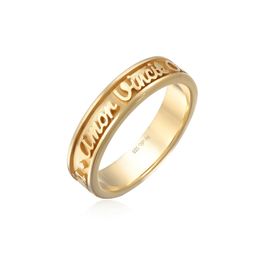 Silberring Elli "Ring Bandring Worte Amor Vincit Omnia 925 Silber" Gr. 54, gold, Fingerringe, Damen, 54, Silber 925 (Sterlingsilber), Silberring