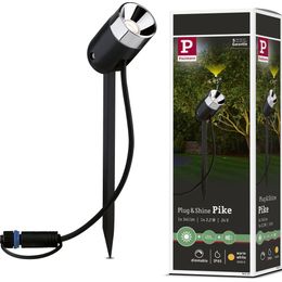 LED Gartenstrahler Paulmann "Plug & Shine", grau (anthrazit), H:31cm T:8cm &Oslash;:5cm, Leuchten, LED Gartenstrahler, LED-Modul, 3000K 24V Anthrazit