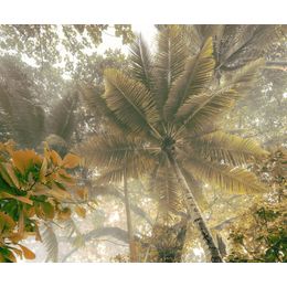 Fototapete Komar "Digitaldruck Vlies - Palms Panorama - Gr&ouml;&szlig;e 300 x 250 cm", bunt, B:3m H:2,5m L:0,01m, Vlies, Tapeten, Fototapete, Wohnzimmer, Schlafzimmer