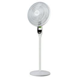 BE COOL Stand- und Tischventilator 43cm mit M&uuml;ckenabwehr BC40STMOSQ
