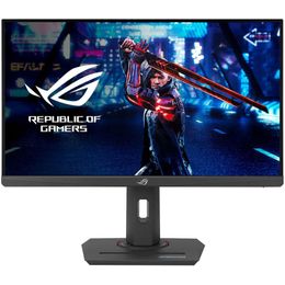 ASUS Gaming-Monitor "XG259QNS", Energieeffizienz: E, schwarz, B:55,8cm H:33,2cm T:5,9cm, Monitore, Gaming-Monitor