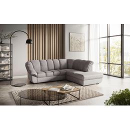 Ecksofa COTTA "Mado, Breite 260 cm", dunkelgrau, B:260cm H:88cm T:104cm, 100% POLYESTER (PES), Sofas, Ecksofa, verschiedene Sofas individuell kombinierbar