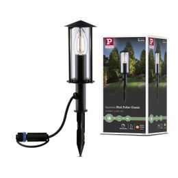 LED Gartenleuchte Paulmann "Poller", grau (anthrazit), H:22cm &Oslash;:8cm, Leuchten, LED Gartenleuchte, E14, IP44 2W 24V Anthrazit E14