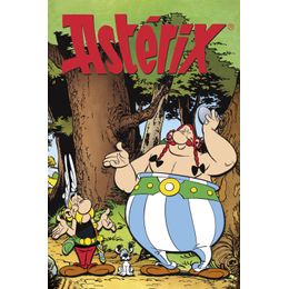 Leinwandbild LUCKYLINDE "Asterix, Obelix und Idefix III", bunt (farbe bild(er): bunt), B:60cm H:90cm T:3cm, Holz, Leinwand, Bilder, Leinwandbild, Canvasbild Wanddeko Bild zum Film "Kampf der H&auml;uptlinge"