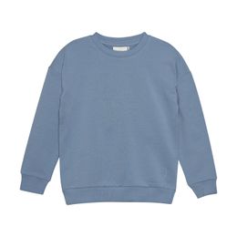 Sweatshirt EN FANT "Rundhalspullover ENSweatshirt", Jungen, Gr. 116, blau (windward blau), Obermaterial: 95% Baumwolle CO. 5% Elasthan EL., Pullover Sweatshirt