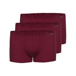Retro Boxer Ammann "3er Pack Retro Short Day Modern / Cotton & More", Herren, Gr. 5, rot (bordeaux), Satin, Obermaterial: 57% Modal CMD. 35% Baumwolle CO. 8% Elasthan EL., Unterhosen Retro Boxer