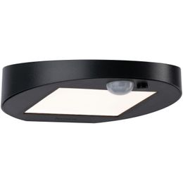 LED Au&szlig;en-Wandleuchte Paulmann "Ryse", grau (anthrazit), B:15,4cm H:4,1cm T:14,7cm, Leuchten, LED Au&szlig;en-Wandleuchte, LED-Modul