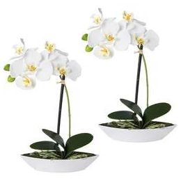 Kunstorchidee Creativ green "Phalaenopsis", wei&szlig;, B:6,5cm H:30cm L:19,5cm, Kunststoff, Kunstpflanzen, 2er Set, in Kunststoffschale