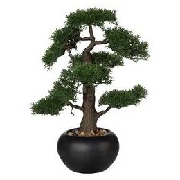 Kunstpflanze Creativ green "Bonsai", gr&uuml;n, B:15cm H:37cm, Kunstpflanzen, Kunstpflanze