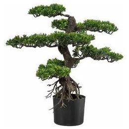 Kunstbonsai Creativ green "Bonsai", gr&uuml;n, B:14cm H:65cm T:12cm, Kunststoff, Kunstpflanzen, Geschenkartikel