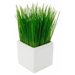 Kunstpflanze I.GE.A. "Gras", gr&uuml;n, B:9cm H:22cm T:9cm, Keramik, Kunststoff, Kunstpflanzen, Kunstpflanze