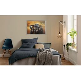 Wandbild Komar "Star Wars The Mandalorian Line Up", gelb (farbe bild(er): gelb,grau), Disney, 1 Stk., Vlies, Bilder, Wandbild, 30 x 40 cm (Breite x H&ouml;he) - Kinderzimmer, Dekoration