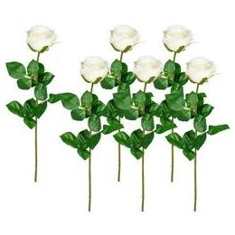 Kunstblume Creativ green, beige (natur), H:69cm, Kunststoff, Polyester, Kunstpflanzen