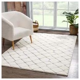 Hochflor-Teppich Carpet City "Focus 4499", beige (creme), B:200cm H:20mm L:290cm, Polypropylen, Teppiche, L&auml;ufer, Boho, Hochtief-Muster/ 3D-Effekt, f&uuml;r Wohnzimmer, Schlafzimmer