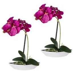 Kunstorchidee Creativ green "Phalaenopsis", lila, B:6,5cm H:30cm L:19,5cm, Kunststoff, Kunstpflanzen, 2er Set, in Kunststoffschale