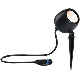 LED Gartenleuchte Paulmann "Outdoor Plug & Shine Spot Kikolo 20 3000K anthrazit", grau (anthrazit), H:26,1cm T:8,5cm &Oslash;:9cm, Leuchten, LED Gartenleuchte, Outdoor Plug & Shine Spot Kikolo 20 3000K anthrazit