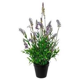 Kunstblume Creativ green "Lavendel im Topf 48cm hoch", lila, H:48cm, Obermaterial: 100% Polyethylen, Kunstpflanzen, Kunstpflanze t&auml;uschend echt mit filigranen Bl&uuml;ten