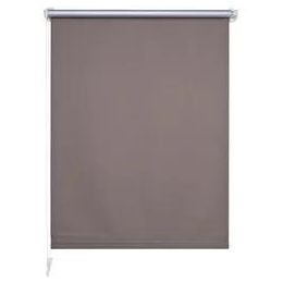 Seitenzugrollo Liedeco Gr. 4, grau (stone), B:45cm H:150cm, Polyester, Rollos, Seitenzugrollo