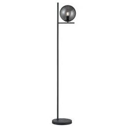 Trio LEUCHTEN Stehlampe "Pure", schwarz (anthrazit rauchgrau), 1, &Oslash; 20cm H: 150cm, 1 Stk., Leuchten, Stehlampe