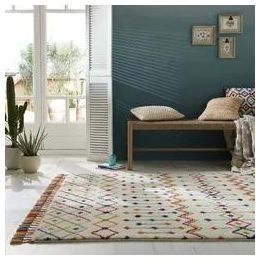 Teppich FLAIR RUGS "PRAIRIE", bunt, B:200cm H:20mm L:290cm, Kunstfaser, Teppiche, Teppich, mit Fransen und verspieltem Design