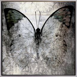 Leinwandbild queence "Butterfly", schwarz (farbe rahmen: silber, farbe bild(er): schwarz), B:50cm H:50cm T:2cm, Canvas, Holzrahmen, Bilder, Leinwandbild, mit einem Schattenfugenrahmen veredelt