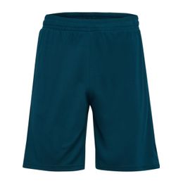 Shorts Hummel "hmlTE FLEX MESH SHORTS", Herren, Gr. XXL, N-Gr, reflecting pond, Obermaterial: 100% Polyester, regular fit, Hosen Shorts