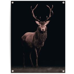 Poster Reinders "Hirsch Sepia", braun (farbe bild(er): braun), B:60cm H:80cm T:0,1cm, Leinwand, Bilder, Poster