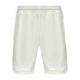 Shorts DROPSIZE "Dropsize Herren Dropsize V2 Mesh Shorts", Herren, Gr. L, US-Gr&ouml;&szlig;en, cream, 100% Polyester, normal, Hosen Shorts