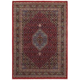 Orientteppich OCI DIE TEPPICHMARKE "HIMALI BIDJAR", rot (rot, blau), B:250cm H:20mm L:350cm, Wolle, Teppiche, Orientteppich, reine Wolle, handgekn&uuml;pft, mit Fransen, Wohnzimmer