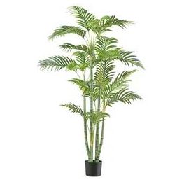 Kunstpalme Creativ green "Bambuspalme", gr&uuml;n, H:155cm, Kunststoff, Kunstpflanzen, mit zahlreichen Wedeln