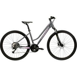 Crossrad KROSS "Evado 4.0" Gr. 43, grau (grau, schwarz), Fahrr&auml;der, Damen, 43cm, 28 Zoll (71,12cm) hinten: 28 Zoll (71,12cm), Crossrad