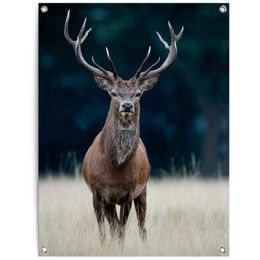 Poster Reinders "Hirsch", braun (farbe bild(er): braun), B:60cm H:80cm T:0,1cm, Leinwand, Bilder, Poster