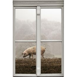 Wandsticker queence "Schwein", braun, B:40cm H:60cm T:0,1cm, Wandtattoos, Wandsticker, Wandsticker, Wandbild, selbstklebend, 3D, Fenster