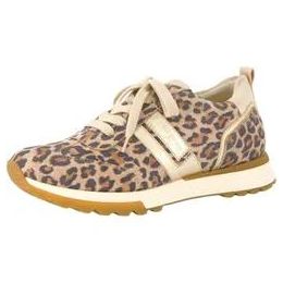 Sneaker Paul Green "Paul Green Sneaker Leder", Damen, Gr. 40,5, leopard, Leder, Schuhe Sneaker