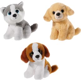 Kuscheltier Heunec "Mini Mi Hunde Set", braun (wei&szlig;, braun), Pl&uuml;schfiguren, KinderH:14cm, Pl&uuml;sch, Kuscheltier, H:14cm