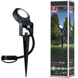 LED Gartenstrahler Paulmann "Plug & Shine", grau (anthrazit), H:29cm &Oslash;:5cm, Leuchten, LED Gartenstrahler, LED-Modul, IP67 3000K 24V Anthrazit