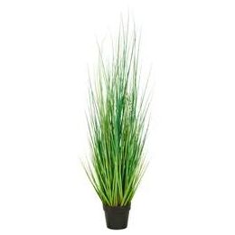 Kunstgras Creativ green "Grasbusch Miscanthus", gr&uuml;n, H:145cm, Kunststoff, Kunstpflanzen, mit naturgetreuen Grashalmen
