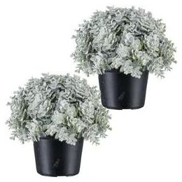 Kunstpflanze Creativ green "Eukalyptus", wei&szlig;, H:13cm, Kunststoff, Kunstpflanzen, Kunstpflanze, in Kugelform