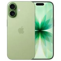 Apple Smartphone "iPhone 17", Energieeffizienz: A (A-G), gr&uuml;n (salbei), 256 GB, Mobiltelefone, Topseller