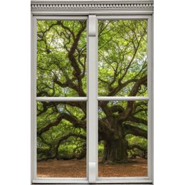 Wandsticker queence "Baum", beige (natur), B:40cm H:60cm T:0,1cm, Wandtattoos, Wandsticker, Wandsticker, Wandbild, selbstklebend, 3D, Fenster