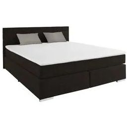Boxspringbett COTTA "Simba", braun, L:209cm, Komplettbetten, Boxspringbett, wahlweise mit oder ohne Matratze und Topper bestellbar, Topseller