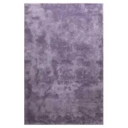 Teppich HOMIE LIVING "Pisa", lila (violett), B:120cm H:25mm L:170cm, Polyester, Teppiche, Teppich, Hochflor, Microfaser, uni, weich, Shaggy, Wohnzimmer, Schlafzimmer