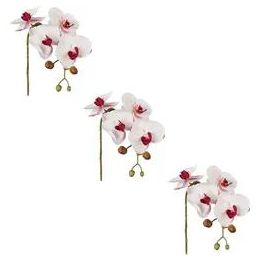 Kunstblume Creativ green "Phalaenopsis 3D-print", rosa, H:42cm, Obermaterial: 85% Polyester, 15% Polyethylen, Kunstpflanzen, mit Real-Touch-Bl&uuml;ten