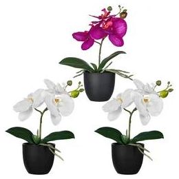 Kunstorchidee Creativ green "Orchidee Phalaenopsis", bunt, H:23cm, Kunststoff, Kunstpflanzen, mit naturgetreuen Bl&uuml;ten
