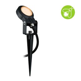 LED Gartenstrahler Paulmann "Plug & Shine Sting Einzelspot IP67 2200K 6,3W Anthrazit", grau (anthrazit), H:29cm &Oslash;:5,2cm, Leuchten, LED Gartenstrahler, insektenfreundlich