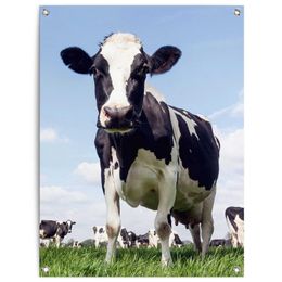 Poster Reinders "Dutch Cow", gr&uuml;n (farbe bild(er): gr&uuml;n), B:60cm H:80cm T:0,1cm, Bilder, Poster, Garten - Kuh - Wiese - Gr&uuml;n - Leinwand - Tiere - 60x80 cm